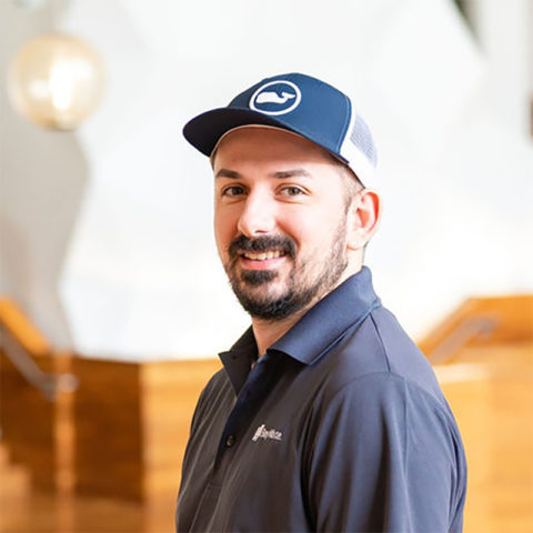 Sales Team - BayWa r.e. Solar Systems