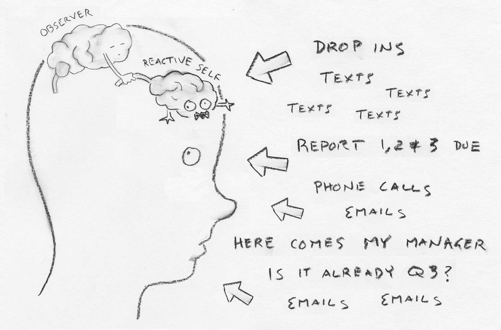 Considered Reactions - BayWa r.e. Solar Systems